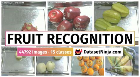 Fruit Recognition Dataset Ninja