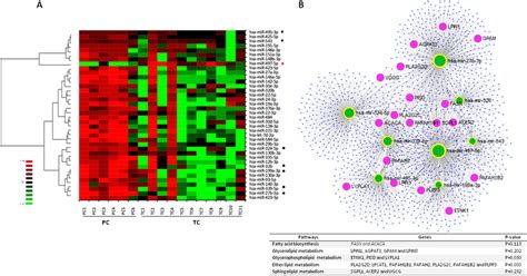 Mirna Profile Distinguishes Tcs And Pcs Under The Postloss Condition Download Scientific