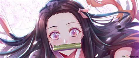 데몬 슬레이어 카마도 네즈코 16 2k 배경화면 다운로드