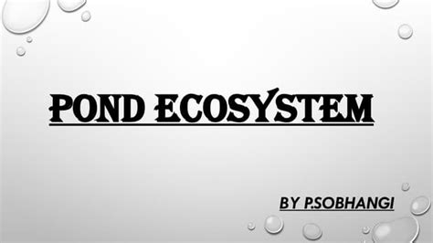 Pond Ecosystem Pdf