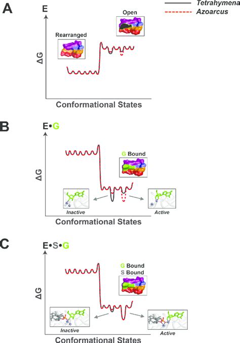 Conformational Landscapes Of The G Binding Site Qualitative Energy