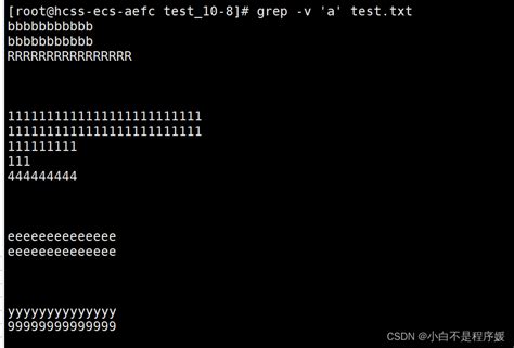 【linux】基本指令（三） Csdn博客