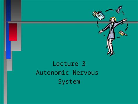 PPT Lecture 3 Autonomic Nervous System Chapter 20 Autonomic Nervous