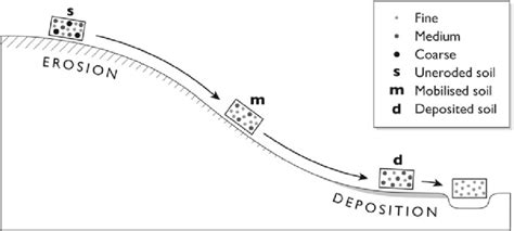 5 Schematic Diagram Of Sampling Protocol For Including Particle Size