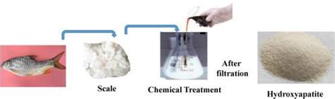 鱼鳞羟基磷灰石的环保合成及其吸附去除pb Ii 的应用 Journal Of The Indian Chemical Society X Mol
