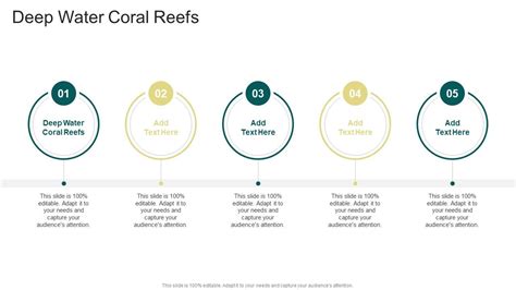 Deep Water Coral Reefs In Powerpoint And Google Slides CPP PPT Template