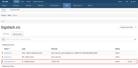 How To Create An A Record Using Dnsaas Welcome To The Bigstack Cube
