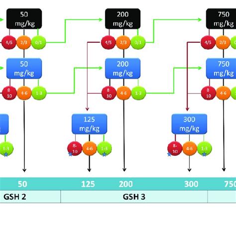 Flowchart For Ld50 Determination Starting From The Opportune Initial