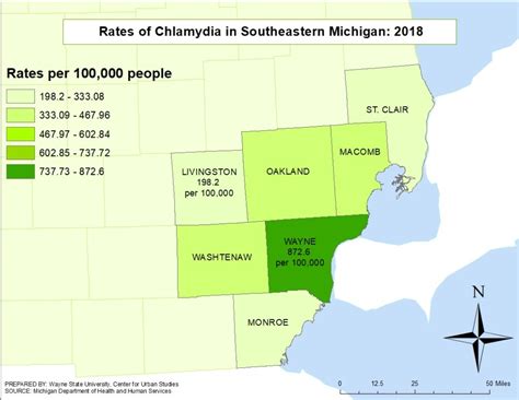 Std Rates On The Rise In Southeastern Michigan Drawing Detroit