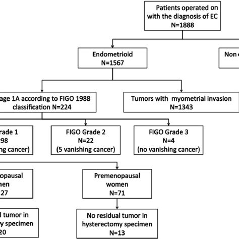 Flowchart Of The Study Design Download Scientific Diagram