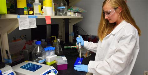 Archives University Of Arkansas Biomedical Engineering