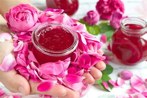 روش تهیه مربای گل محمدی با گردو، سنتی و خوشمزه