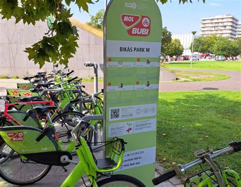 Happy 10th Birthday Mol Bubi Budappest