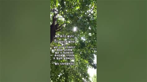 다시 일상으로 돌아왔다 Vlog 브이로그 일상 출근길 Youtube