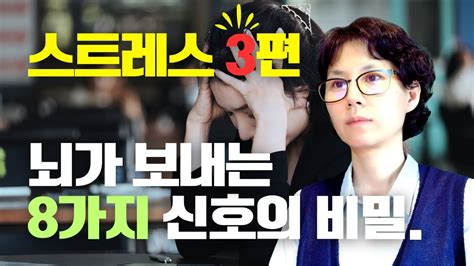스트레스 3편 뇌는 왜 이런 신호를 보낼까 Youtube