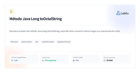 Dominando El Método Java Long Tooctalstring Labex