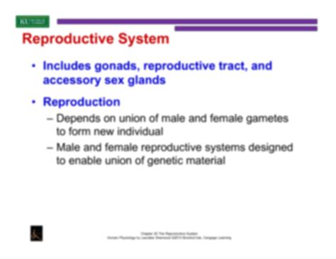 SOLUTION Chapter 20 Reproductive System Studypool