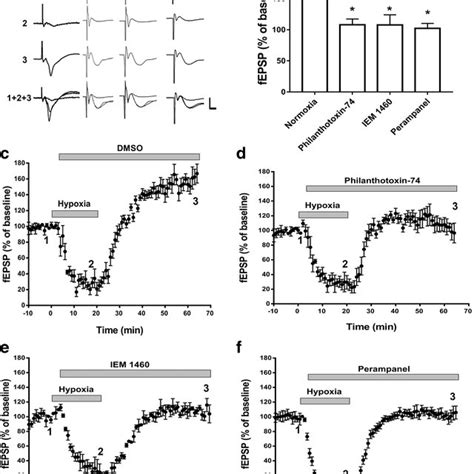 Cp Ampar Antagonists Or Perampanel Applied At 5 Min Of Hypoxia Onset