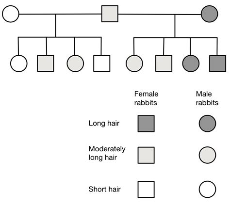 patterns of inheritance ocr a level biology multiple choice questions