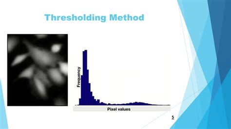 Basic Principles Of Image Segmentation In Medical Images Pptx