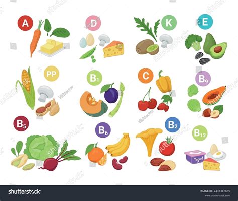 Food Sources Macronutrients Micronutrients Vitamin Names Stock Vector Royalty Free 2433312685