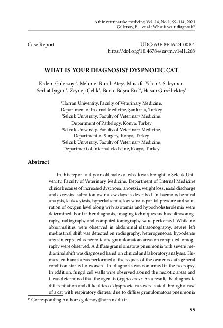 Pdf What Is Your Diagnosis Dyspnoeic Cat