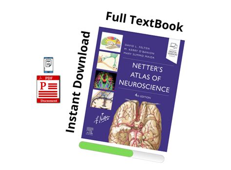 Full Pdf Netters Atlas Of Neuroscience Netter Basic Scien Inspire Uplift