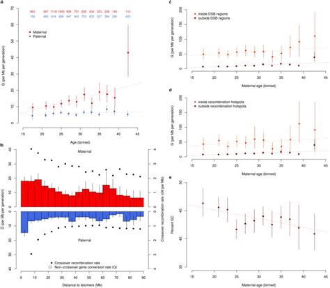 The Rate Of Meiotic Gene Conversion Varies By Sex And Age Pmc