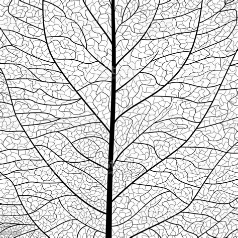 Background Texture Leaf Vector Illustration Textured Background Vector Illustration Leaves