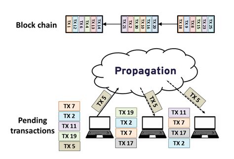 A Beginners Guide To Algorand Cryptocurrency
