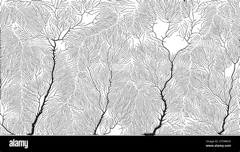 Growth Pattern Generative Branching Structure Organic Net Of Vessels Texture Stock Vector