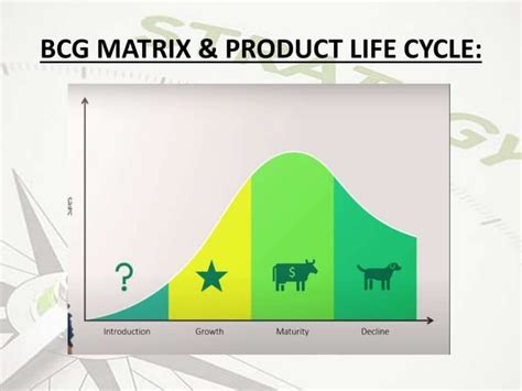 Bcg Matrix And Ge Matrix Pptx Business Accounting And Finance Business