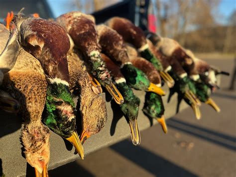 Ashley Barta The Ashley Barta • Instagram Photos And Videos