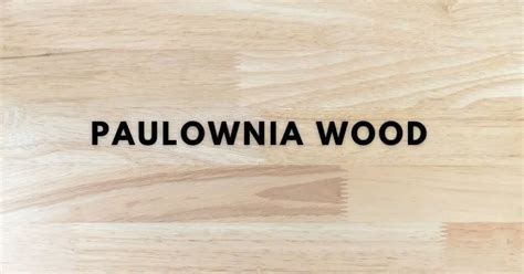 Paulownia Wood Uses Advantages And Disadvantages