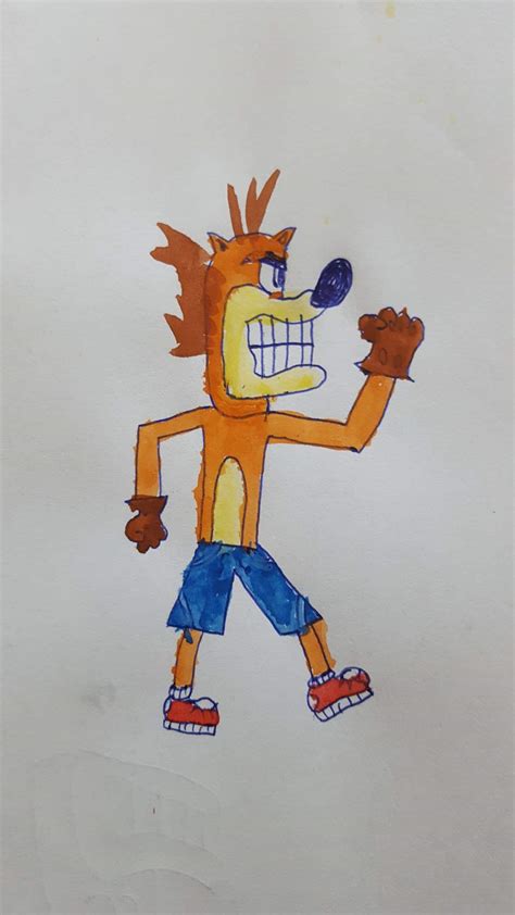 Crash Drawing Crash Bandicoot Amino Amino