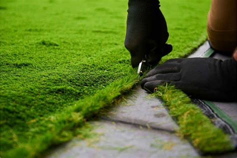 How To Make Fake Grass From Paper Storables