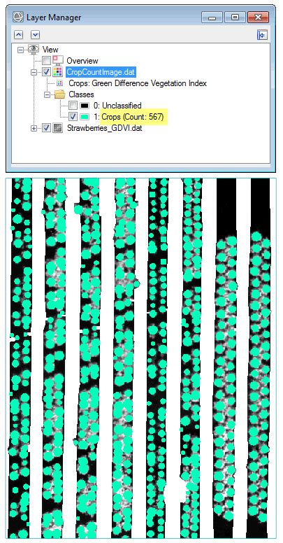Crop Counting And Metrics Tutorial