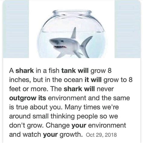 Onisha Thye Yanning Posted On Linkedin