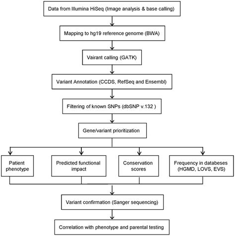 Variant Analysis And Prioritization Workflow Summary Of Our Variant