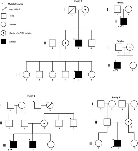 Families Pedigrees Pedigrees Of The Five Families Presented With