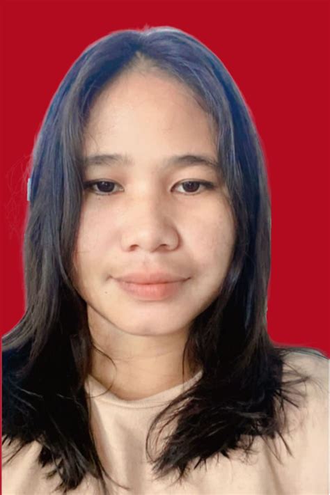 Profil Rambu Bintang Info Pemilu