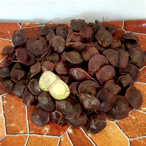 Jering Muda Segar Dari Kebun Bonda Shopee Malaysia