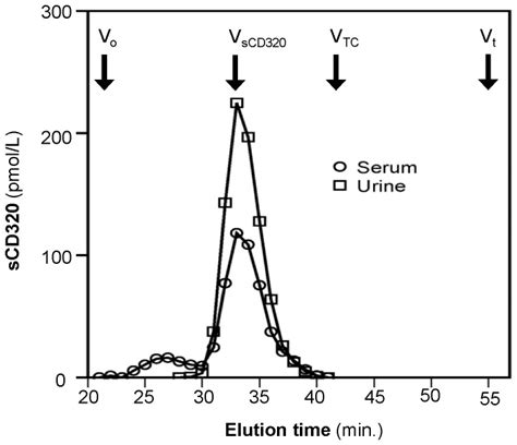 Size Exclusion Chromatography Performed On A Superdex 200 Column Download Scientific Diagram