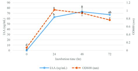 Effect Of Incubation Time For Iaa Production And Growth Curve Of