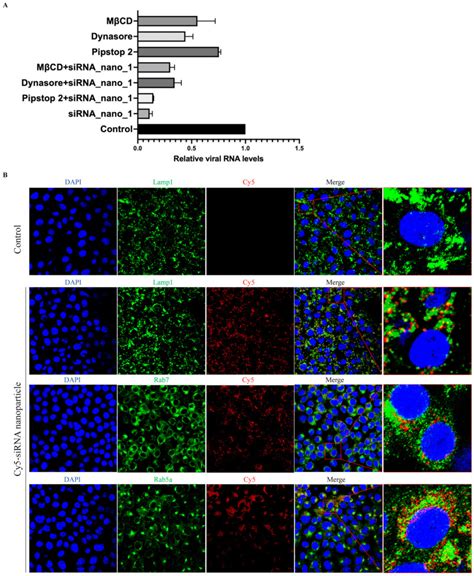 Inhibition Of Sars Cov 2 Replication By Self Assembled Sirna Nanoparticles Targeting Multiple