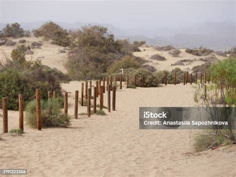 그란 카나리아 마스팔로마스의 모래 사막 모래 언덕에 있는 나무 기둥으로 울타리를 친 산책로 0명에 대한 스톡 사진 및 기타 이미지 Istock
