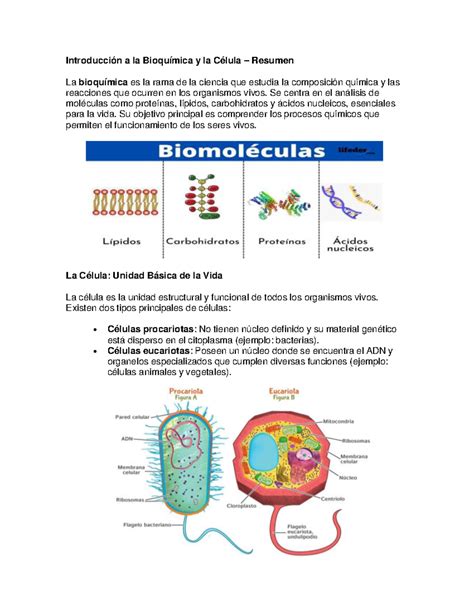 Introducción A La Bioquímica Célula Resumen Introducción A La