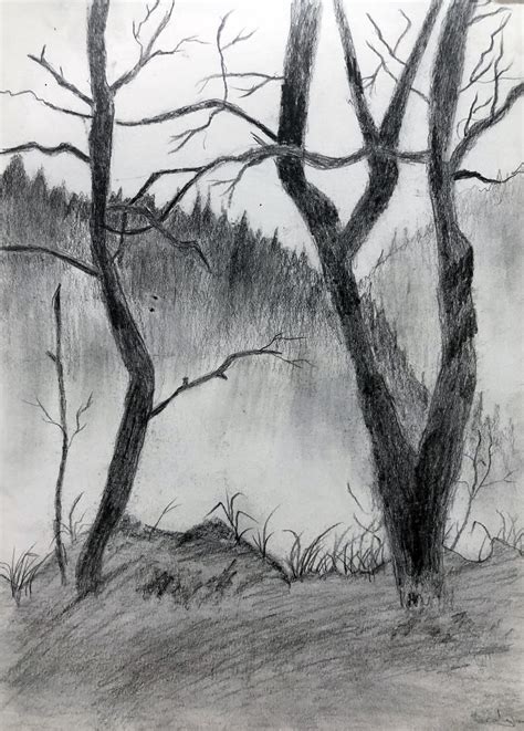 Artistic Drawings Of Nature