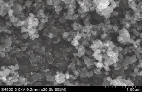 Scanning Electron Micrograph Sem Of Ag Nanoparticles Download