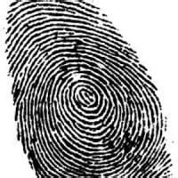 Everybody Knows That The Later You Find Defects The More Expensive They Are To Fix Everybody